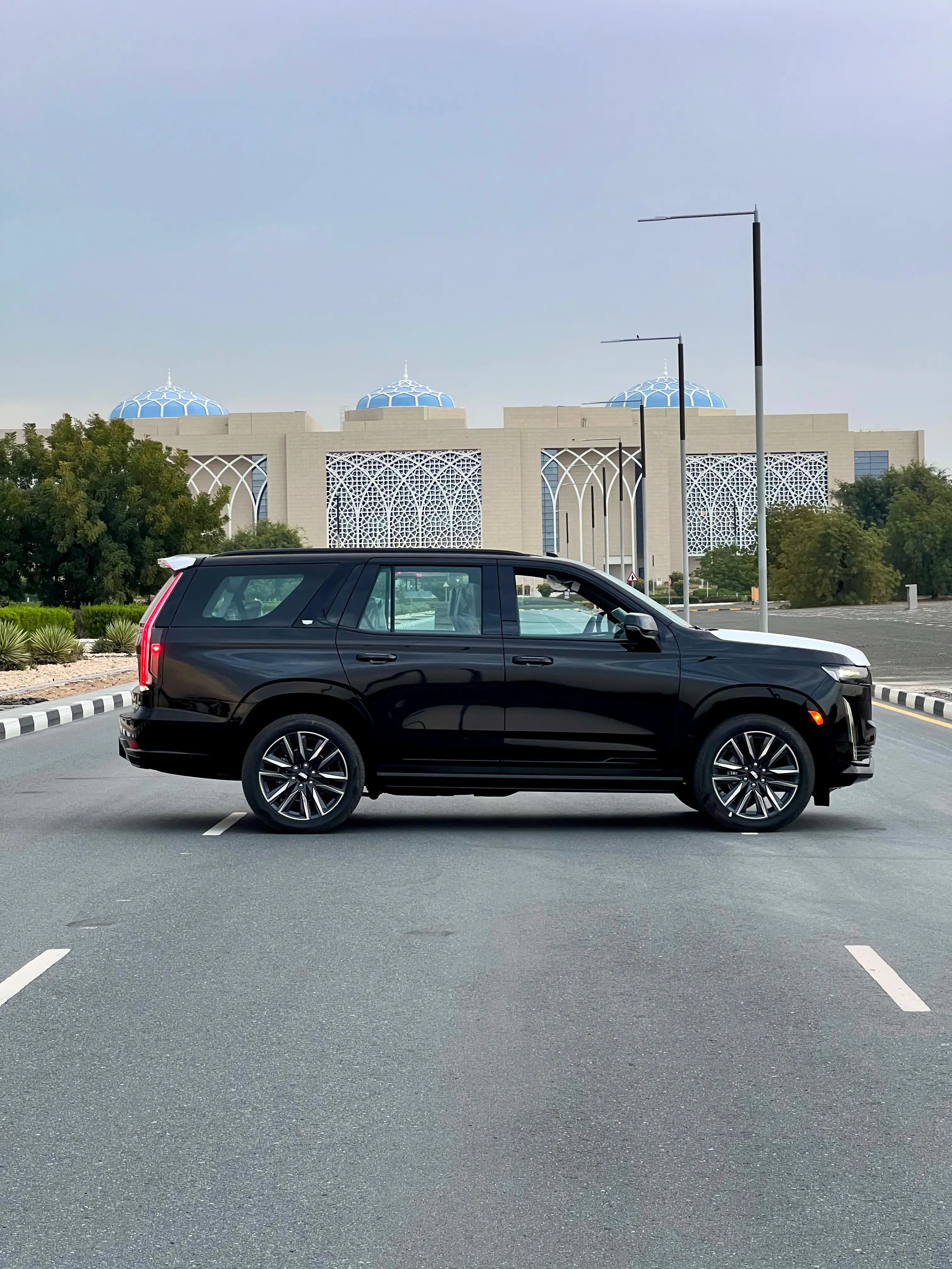 Al-Shazly | Logistic Services